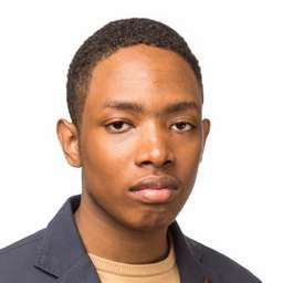 Emmanuel Massillon - Art Conservation Apprentice @ Architect of the ...