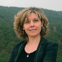 Bahar Basim - Crunchbase Person Profile