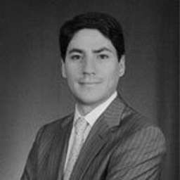 Matthew Lipman - Chief Investment Officer @ Platinum Power - Crunchbase ...