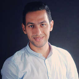 Mina William - Web Developer @ Reachnetwork - Crunchbase Person Profile