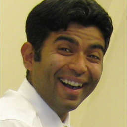 Ashish Mitra - Founder, CEO and Chief Technology Officer @ Endoluminal ...