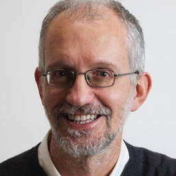 Marco Dorigo - Crunchbase Person Profile