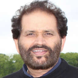 Narinder Bajwa - Founder & CIO @ Gluon - Crunchbase Person Profile