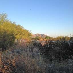 Mark Schulhof - Crunchbase Person Profile