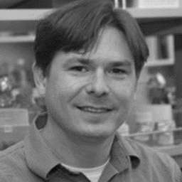 Christopher Voigt - Co-Founder @ Asimov - Crunchbase Person Profile