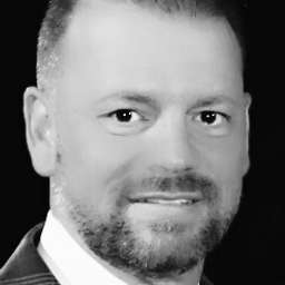 Michael Canzian - Crunchbase Person Profile