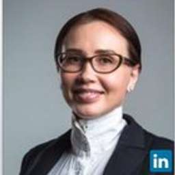 Elena Rakhimova - CEO & Founder @ OdinOtvet - Crunchbase Person Profile