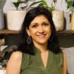 Preine Pereira - Founder and CEO @ Palasa - Crunchbase Person Profile