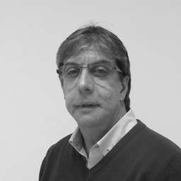 Rui Gomes - Founder and Production director @ Flupol-Surface ...