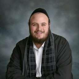 Aron Lev - Founder and Chief Executive Officer @ Blynk Consulting - Crunchbase Person Profile