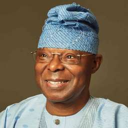 Dr. Ayoola Oba Otudeko - Crunchbase Person Profile