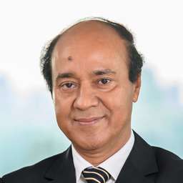 Mostafa Kamal - Founder, Chairman & Managing Director @ Meghna Group of ...