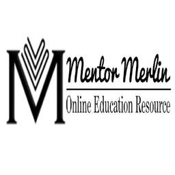 Mentor Merlin - Crunchbase Person Profile