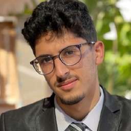 Ayoub M'khantar - Principal Chief Executive Officer @ Noops ...