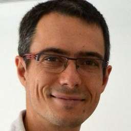 Ludovic Chotard - Head of System Development @ Prophesee - Crunchbase ...