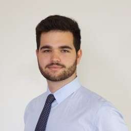 Lewis Freiberg - Crunchbase Person Profile