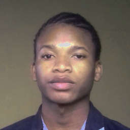 Arlindo Cossa Junior - Crunchbase Person Profile