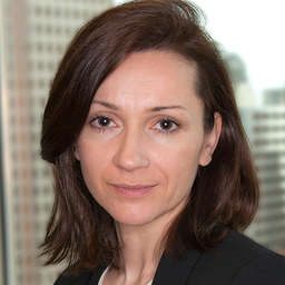 Teo Dechev - Chief Executive Officer, President & Director @ Mundoro ...