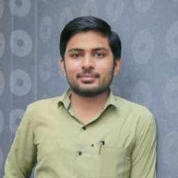 Parth Vithani - Founder & CEO @ Surbhi Infotech - Crunchbase Person Profile