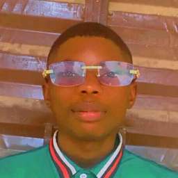 ponle Godwin - Crunchbase Person Profile