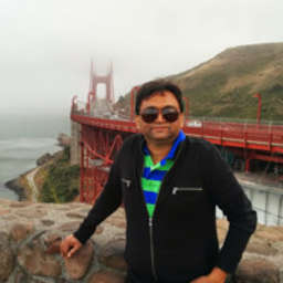 Manish Bhatnagar - Crunchbase Person Profile