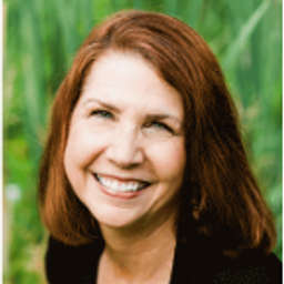 Denise Mainquist - Founder and Managing director @ ITPAC Consulting ...