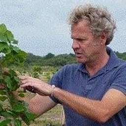 Marcel van Heesewijk - CEO & Founder @ Investancia - Crunchbase Person ...