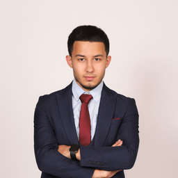 Melkon Hovhannisyan (MelkonTech) - Software Engineer @ Reddit - Crunchbase Person Profile