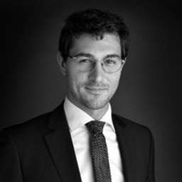 Louis Geslin - Crunchbase Person Profile