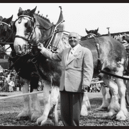 Thomas P. LaRose - Crunchbase Person Profile