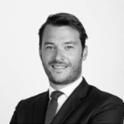 Damien Vigneron - Merger-Acquisition Advisory @ Sevenstones ...