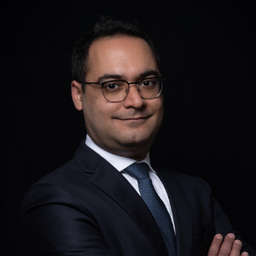 Elia Nehme - Senior Executive Officer @ Swan Re - Crunchbase Person Profile