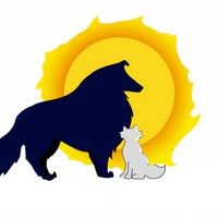 Brighton Animal Clinic - Drug pipelines, Patents, Clinical trials - Synapse