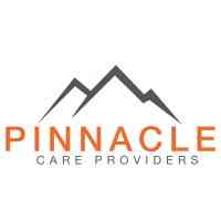 Pinnacle Care Providers - Drug pipelines, Patents, Clinical trials ...