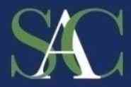 S Acquisition Corp. - Drug pipelines, Patents, Clinical trials - Synapse