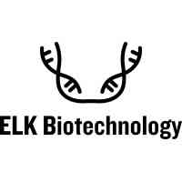 Elk Biotechnology Co. Ltd. - Drug pipelines, Patents, Clinical trials ...