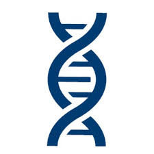 London Biofoundry - Drug pipelines, Patents, Clinical trials - Synapse