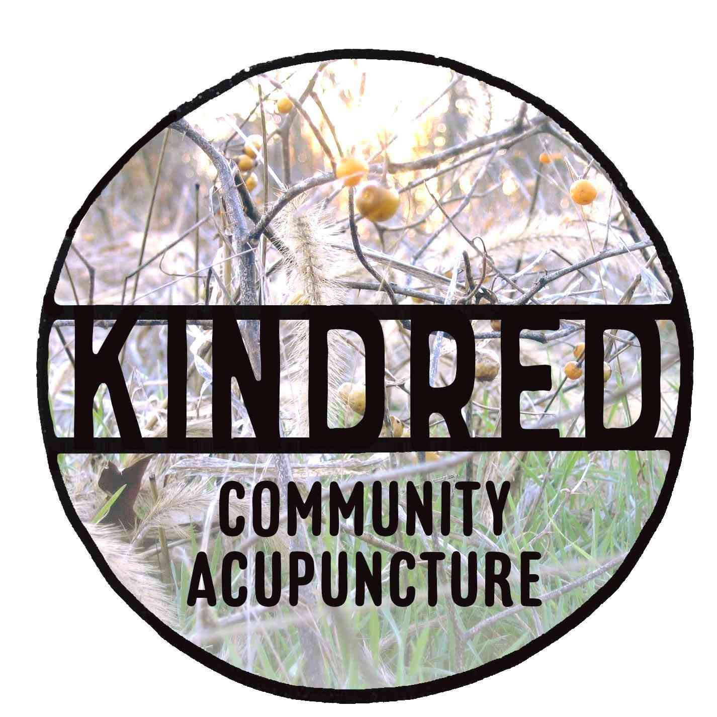 Kindred Community Acupuncture LLC - Drug pipelines, Patents, Clinical ...