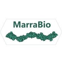 MarraBio Ltd. - Drug pipelines, Patents, Clinical trials - Synapse