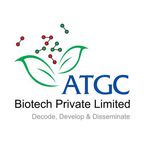 A型肉毒毒素(ATGC)(ATGC-110)-药物靶点：Glutamates_在研适应症：眉间纹，皮肤疾病_专利_临床_研发